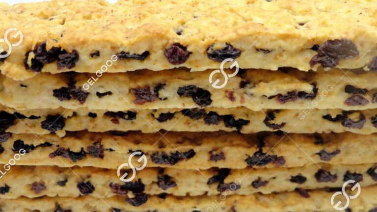 The Historic of Garibaldi Biscuits and How to Make - Biscuit Production ...