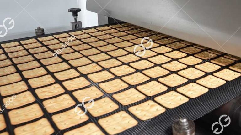 The Key to Producing Quality Biscuits in Factory - Biscuit Production ...